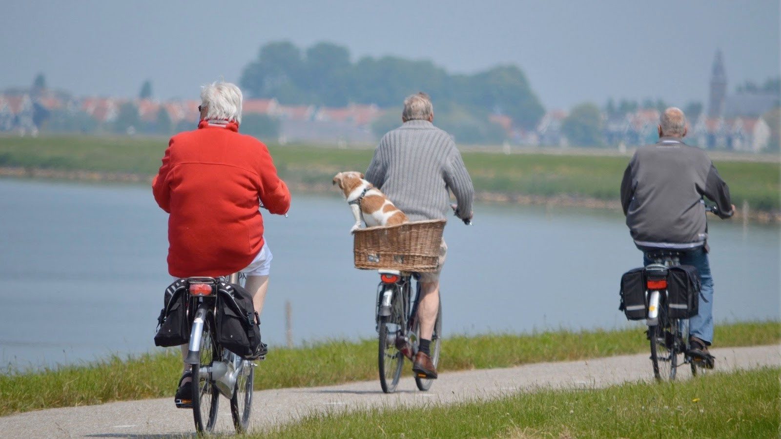 Maximizing Benefits of Forced Exercise Therapy | Theracycle